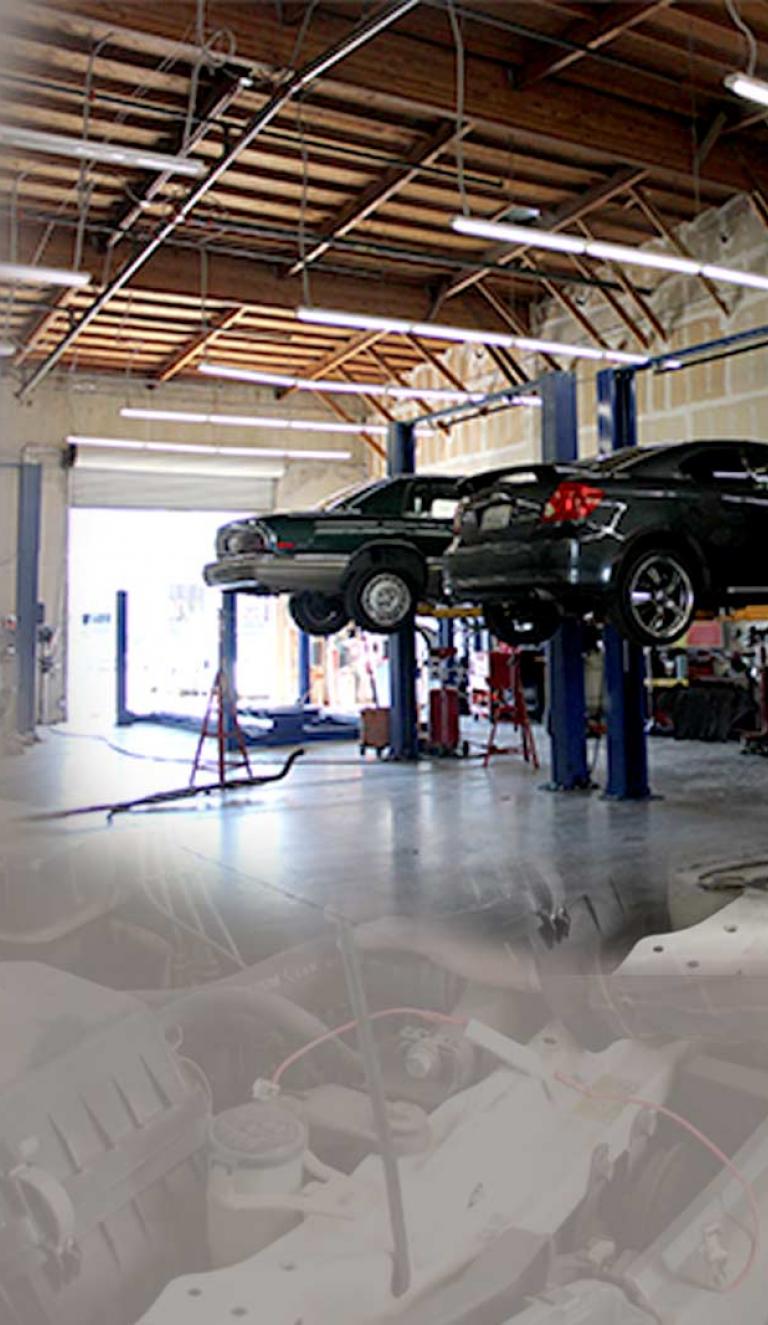 Unedited Collision Information | ALLDATA